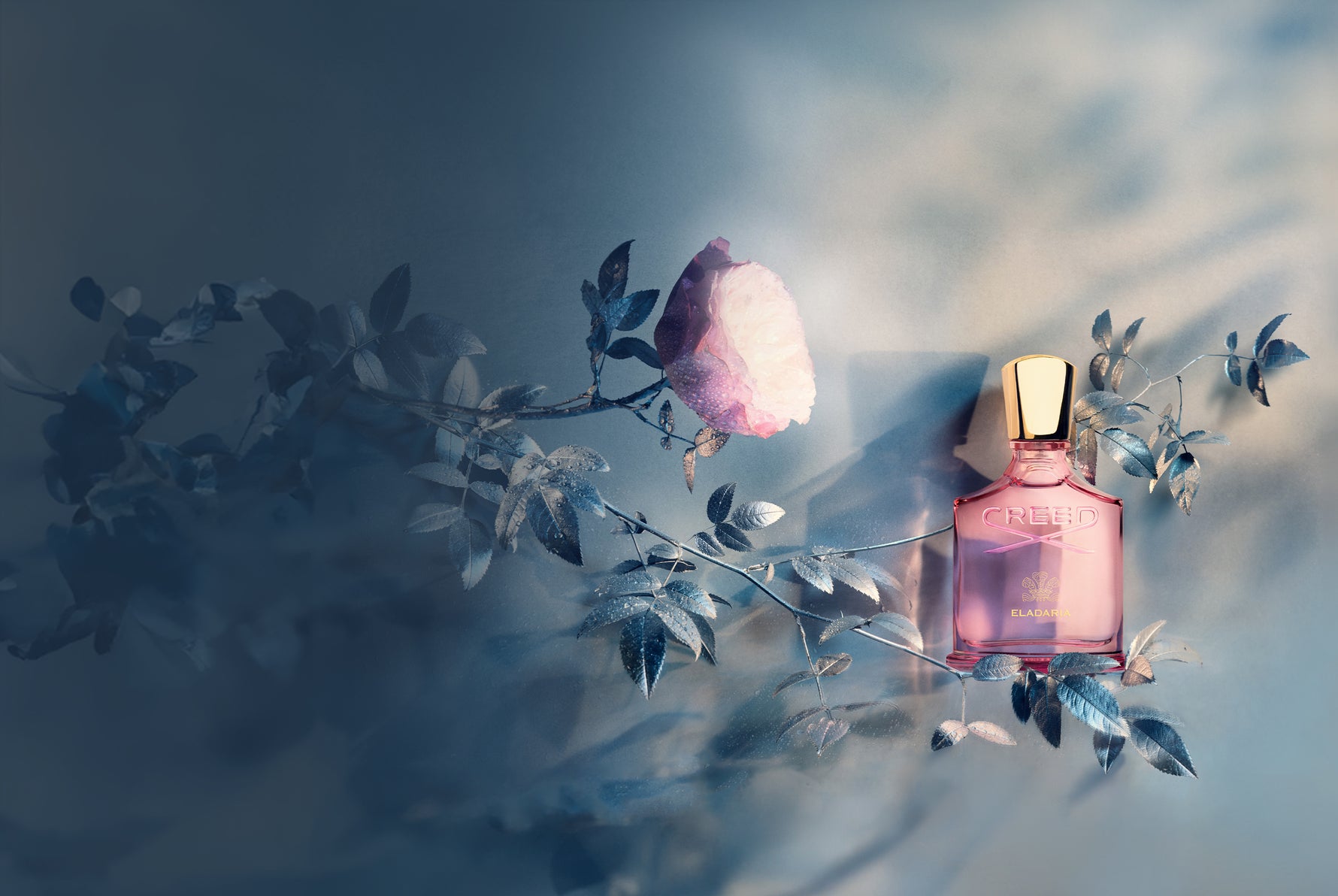 Boutique Creed México | Tienda oficial de perfumes y fragancias Creed